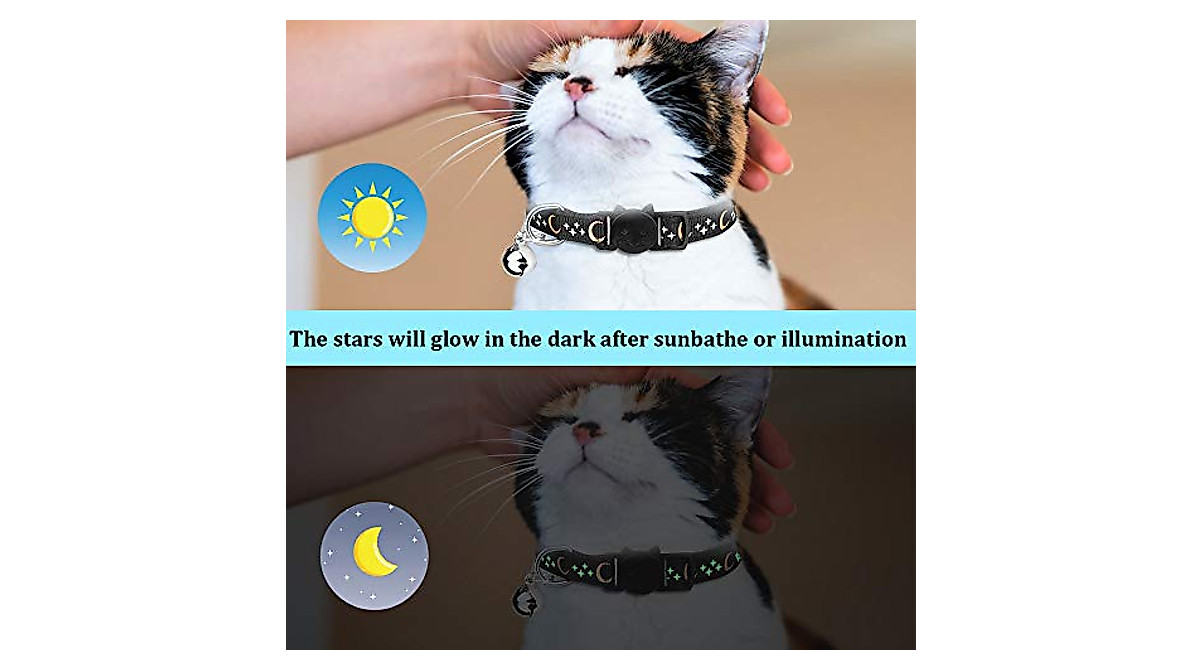 6 PCS Glow-in-the-Dark Cat Collars with Safety Breakaway Buckle