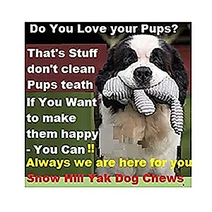 QT Shopping LLC Snow Hill Natural Dog Chews Large 10 Pieces Bulk Pack Himalayan Yak Milk Cheese Strong Natural Treats