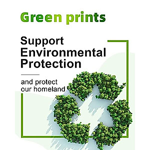 NEXTPAGE CLI42 Ink Cartridges Replacement for Canon CLI 42 CLI-42 Ink Cartridges for Pixma Pro100 Printer(3 Black, 3 Cyan, 3 Grey, 3 Light Grey, 3 Magenta, 3 Yellow, 3 Photo Cyan, 3 Photo Magenta)