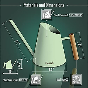 Grehge an Indoor Plants, Small Stainless Water Can Wooden Handle for House and Office Bonsai Flowers, Cute Watering Can Garden Sculpture Outdoor Decoration