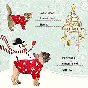 ShuRung Christmas Dog Sweater Costume Xmas Cat Knitwear Clothes with Christmas Tree Snowflakes Pattern Red Dog Winter Sweater for Kittens Small Dogs Cats (Medium)