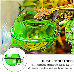 balacoo 4pcs Reptile Food Bowl Turtle Feeder Feeding Dish Tortoise Food Container Reptile Eating Bowl Water Dish Tray for Gecko Snake Turtle Bearded Dragon
