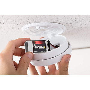 Impecca Super Alkaline Batteries AA-20 AAA-8 C-5 D-5 9Volt-2 Maximum Power 10-Year Shelf Life Long Lasting Batteries Combo Pack with Battery Storage Box Organizer, 39 Batteries Variety Pack