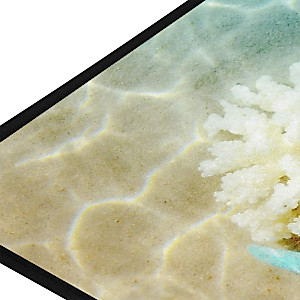Starfish Coral and Seashell On The Summer Beach Kitchen Rug Doormats Carpet Bath Mats Runner Rug for Home Decor,Non-Slip Standing Kitchen Rug 39" X 20"