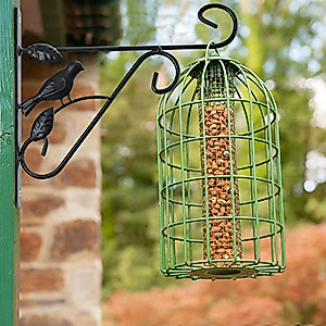 Amagabeli Hanging Plants Bracket 10 inch Outdoor Planter Hooks Hangers Flower Baskets Pot Bird Feeder Hanger for Fence Wall Trees Wind Chimes Lantern Outdoor Indoor Garden Arm 3D Bird Black hook02