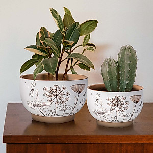 YBX 8 Inch + 6 Inch White&Terracotta Flower Pots, Succulent Ceramic Plant Pots with Drainage Holes, Terracotta Planters for Indoor Plants