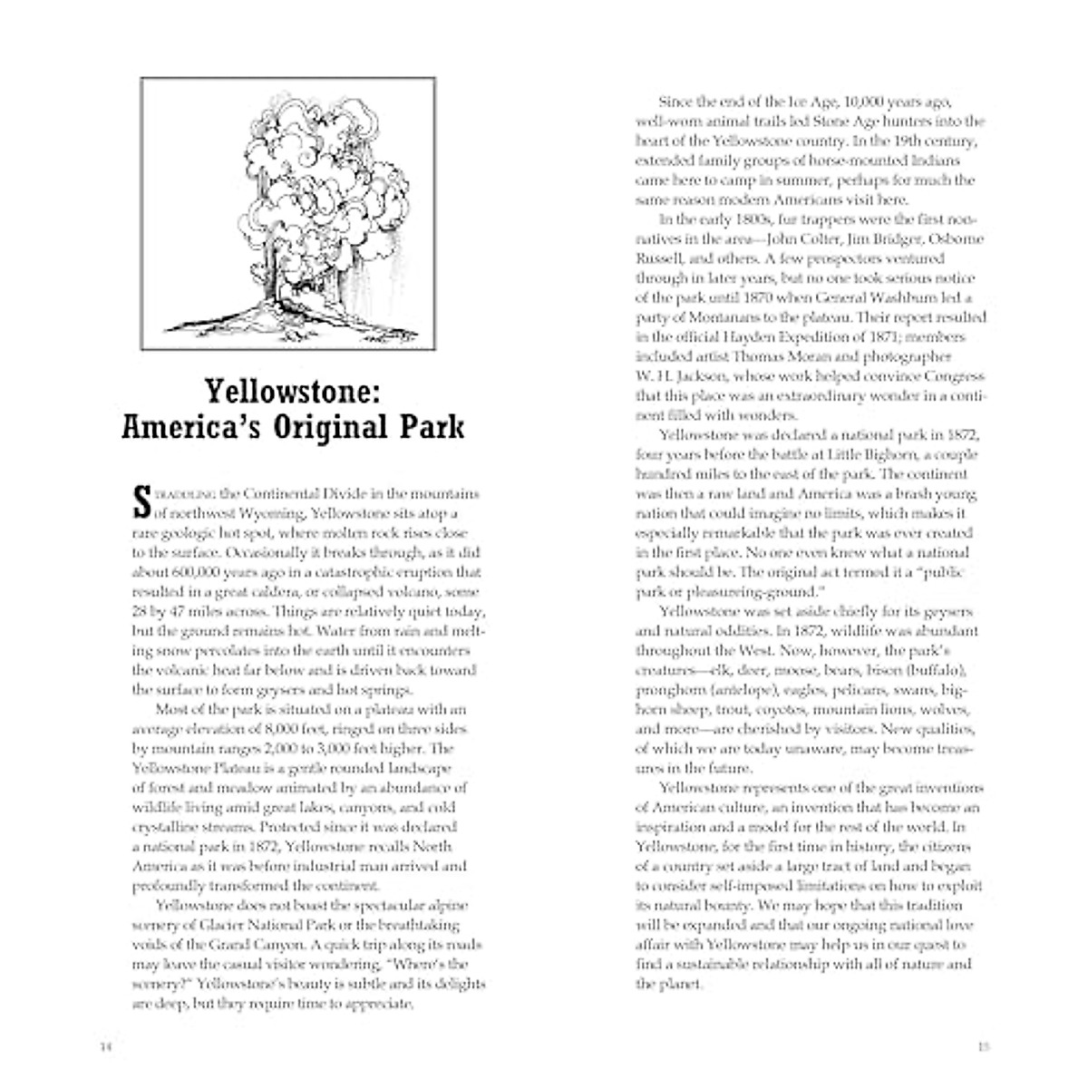 National Geographic Yellowstone and Grand Teton National Parks Road Guide: The Essential Guide for Motorists (National Park Road Guide)