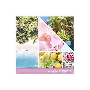 Yankee Candle Signature 3-Wick Tumbler Candle (Wild Orchid)