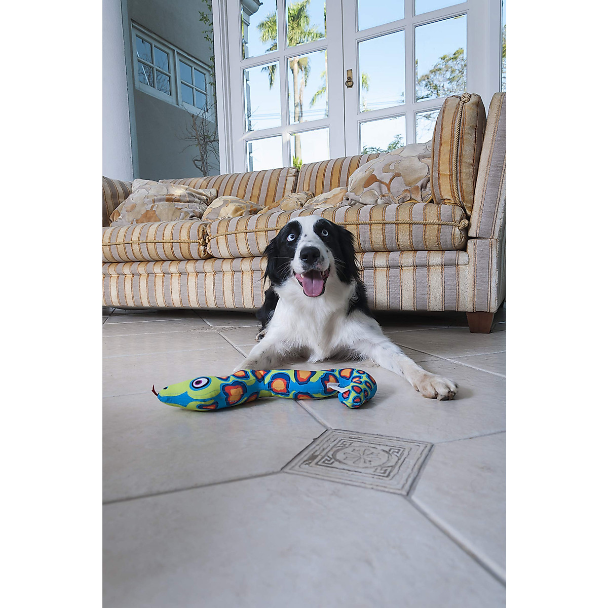 Petmate Fat Cat Incredible Strapping Yankers Dog Toy, Snake (Colors May Vary)