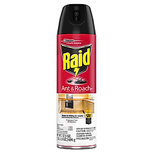 Fragrance Free Ant & Roach Killer, 17.5 oz Aerosol Can, 12/Carton [ESS]