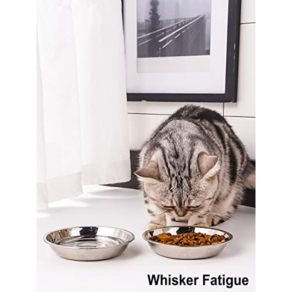 VENTION Stainless Steel Cat Bowls, Cat Food Bowl for Indoor Cats, Whisker Fatigue Cat Bowl, Shallow Cat Dishes