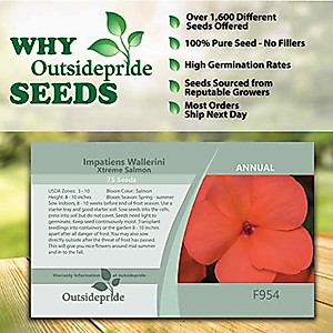 Outsidepride Impatiens Xtreme Salmon Shade Garden Flower Plants for Pots, Hanging Baskets, Containers, Window Boxes - 75 Seeds