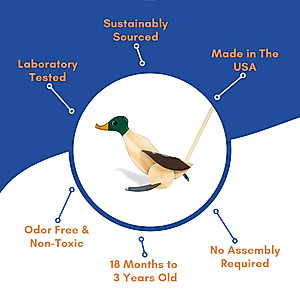 Wooden Push Toy Duck (Dark Green) - 18 Months to 3 Years Old - Walking Toddler Toys Preschool Learning Activities Walking Baby Toys Learning Toys for Toddlers Develops Motor Skills