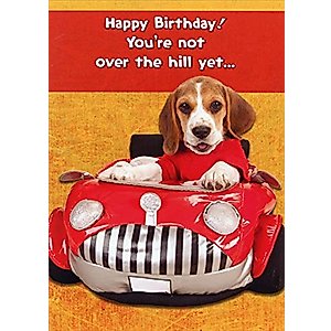 Designer Greetings Beagle in Red Stuffed Toy Car Funny : Humorous Dog Over The Hill Birthday Card for Him : Man : Men
