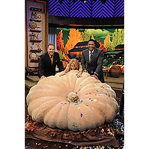 Ron Wallace's Whoppers Giant Pumpkin Seeds (5 Seeds per Package)