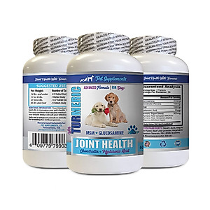 PET SUPPLEMENTS & NUTRITION LLC Dog Joint Supplement Chews - Joint Health with Turmeric - MSM - GLUCOSAMINE - Hip Support - Dog glucosamine Chews - 60 Tablets (1 Bottle)