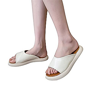 Fashion Spring And Summer Women Slippers Flat Thick Bottom Comfortable Solid Color Indoor And Outdoor Funky Monkey Sandals Women