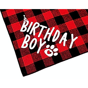 Birthday Boy Dog Bandana