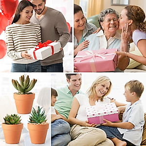 Baxrou Terra Cotta Pots, 24 Pack 3.15 Inch Mini Clay Pots with Drainage Holes,Cactus Flower Nursery Terracotta Pots for Indoor/Outdoor Succulent Plants, Crafts, Wedding Favor