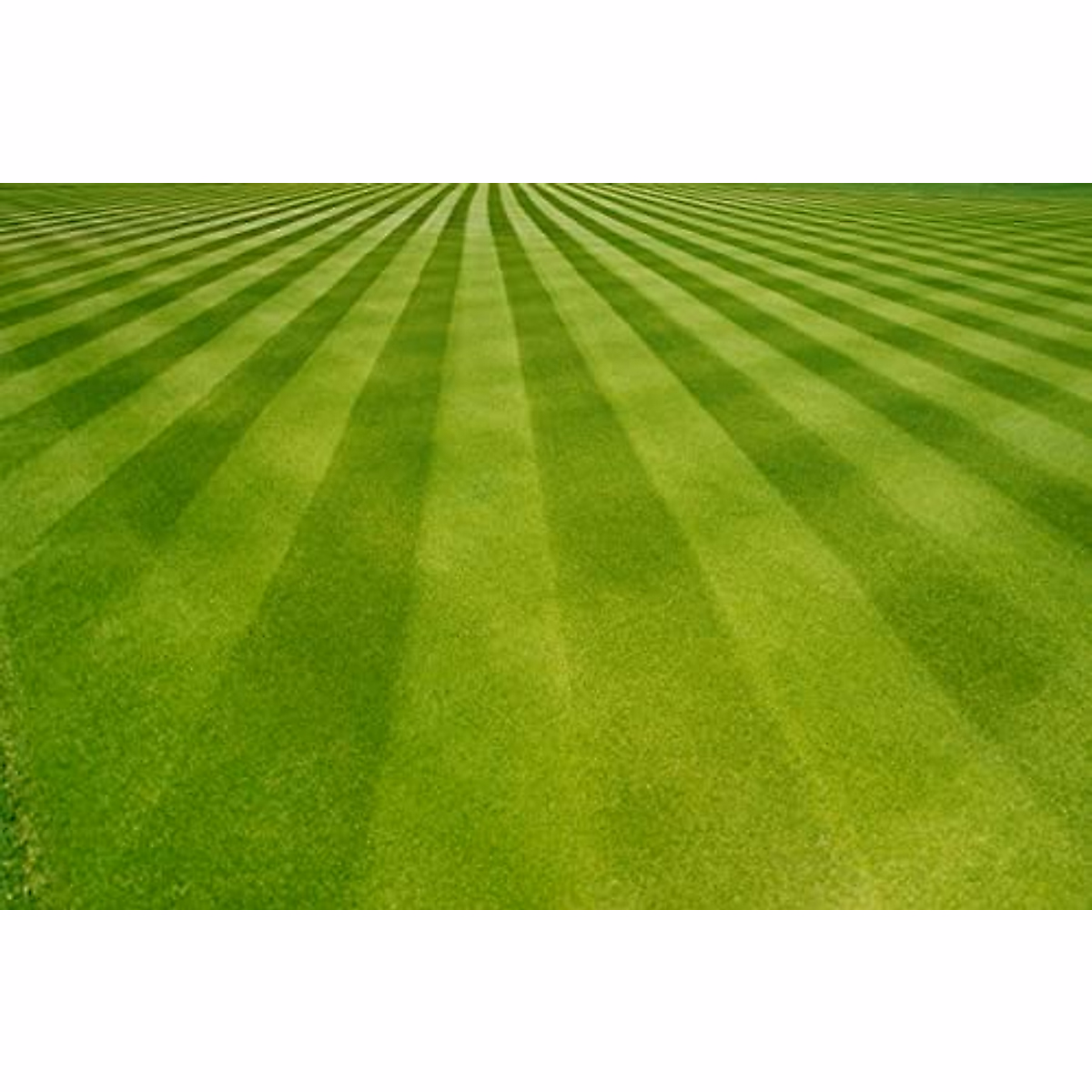 Terre Products, 3 Pack High Lift Lawn Mower Blades, 61 Inch Deck, Replacement for Ferris 1520842, 1520842S, 5020842, 5101755S, Bobcat 112111-03, Scag 48111, 481708, 481712, Husqvarna 539101733