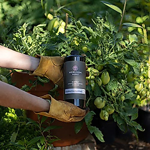 Heirloom Roses Founder’s Fish Fertilizer - Plant Food for Plants, Organic Liquid Emulsion Fertilizer, Garden Fertilizers for Rose Flower and Tomato Outdoor Gardening