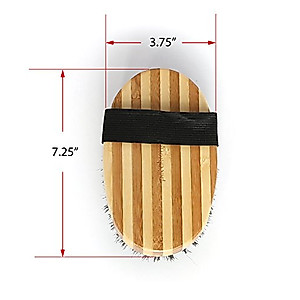 Pet Champion PTBBPLMBR All Natural Bristle Bamboo Palm Pet Brush, Large, Brown