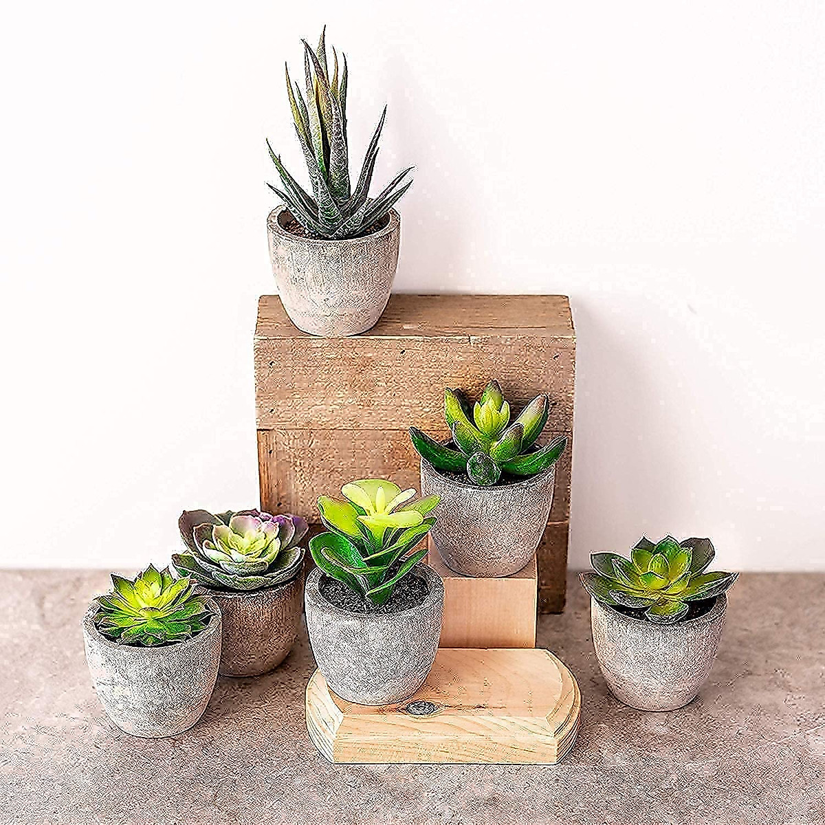 Fake Plant For Desk Decor, Faux Plants Indoor, Succulents Plants Artificial, Small Fake Plants For Office, Fake Succulent Plants, Fake Cactus Plant in Pots 2.3" - 6 Pc Set Mini Fake Succulents