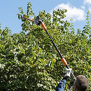 Scotts LPHT12122S 20-Volt 22-Inch Cordless Pole Hedge Trimmer, 2.0Ah Battery and Fast Charger Included