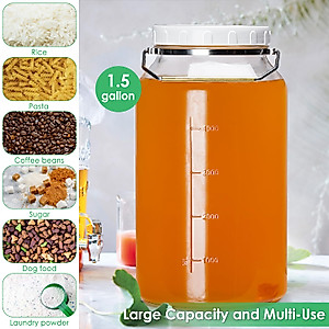 Qianfenie 1 Pack 1.5 Gallon(5700ML) Glass Jar with Screw Lid, BPA Free and Dishwasher Safe, Wide Mouth Glass Canister with Stainless Steel Handle, Large Mason Jar for Kitchen Food Storage