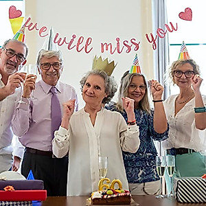 Rose Gold Glitter We Will Miss You Bunting Banner Party Decorations for Going Away Party, Farewell Party, Retirement Party Supplies