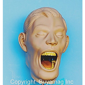 Dental X-Ray Simulator Manikin Training Model