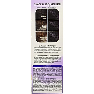 SoftSheen-Carson Dark and Lovely Reviving Colors Nourishing Color & Shine, Radiant Black 391