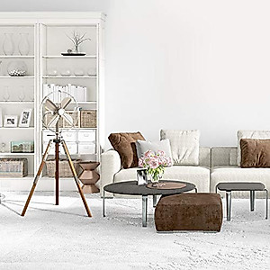 Star Fans Tripod, 16", Satin Nickel