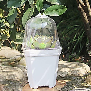 PURPLE STAR 1N 30 PCS Plant Nursery Pots with Humidity Dome-Gardening Pots Small-Square Planting Containers Cups for Succulents Seedlings Cuttings Transplanting (30 PCS-S)