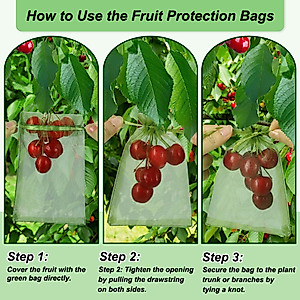 JOINDO 100 Pcs Fruit Protection Bags, 4''×6''Fruit Netting Bags for Fruit Trees, Green Fruit Cover Mesh Bag with Drawstring Netting Barrier Bags for Plant Fruit Flower and Vegetables