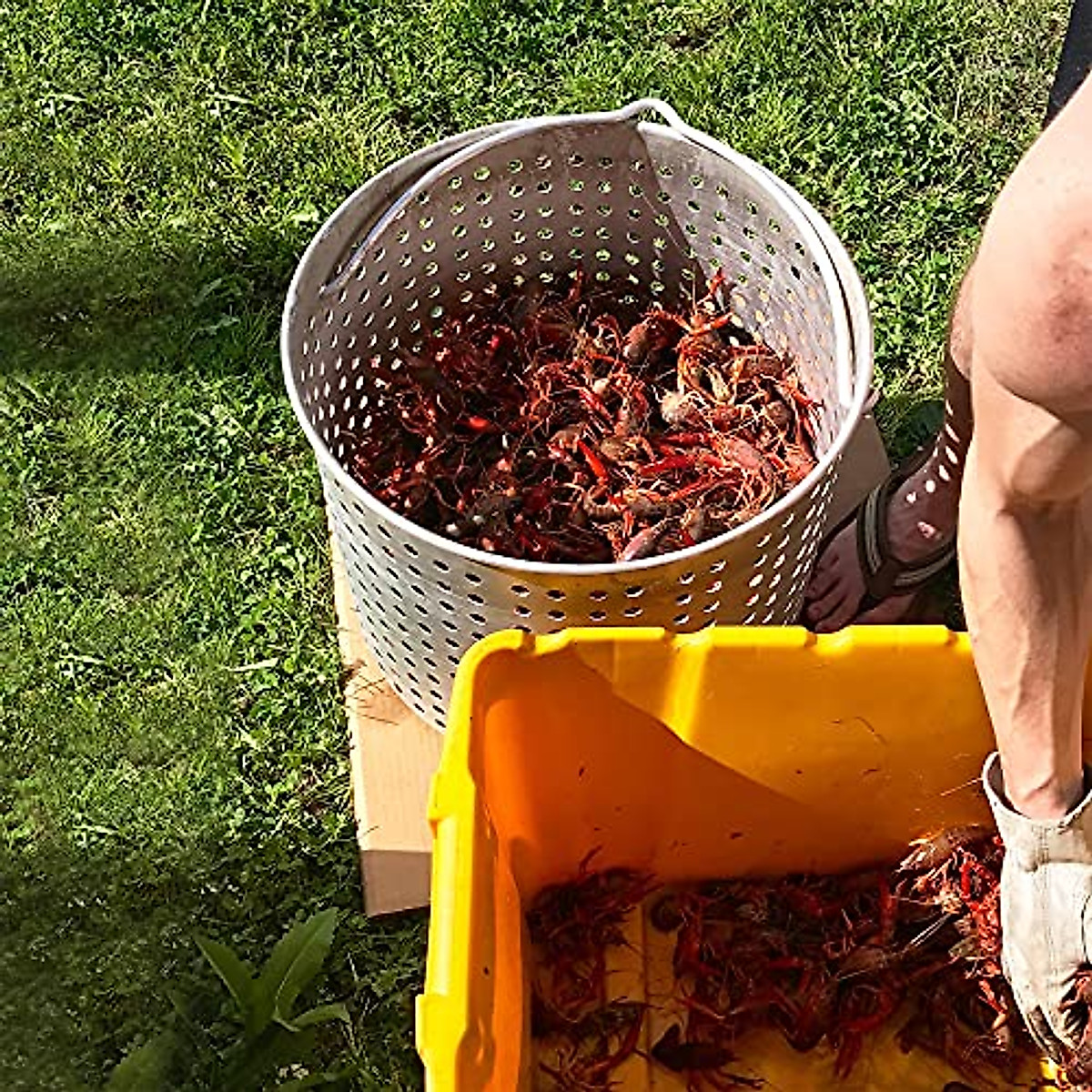 Creole Feast SBK1001 Seafood Boiling Kit with Strainer, Outdoor Aluminum Propane Gas Boiler with 10 PSI Regulator, Silver