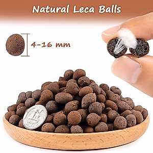 5LB LECA for Plants, 4-16mm Small Expanded Clay Pebbles for Hydroponic Growing, Organic Lecca Balls for Indoor Pots Drainage, Aquaponics, Come with Gloves