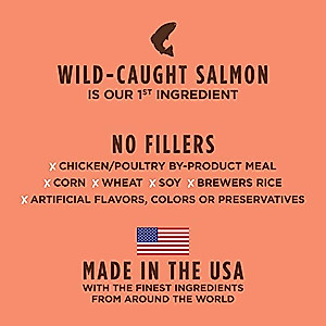 Instinct Be Natural Real Salmon & Brown Rice Recipe Natural Dry Dog Food, 4.5 lb. Bag