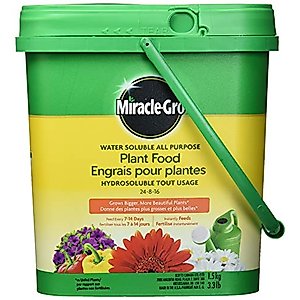 1.5kg 24-8-16 Water Soluble All Purpose Plant Fertilizer