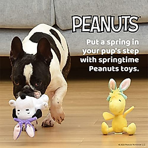 Peanuts for Pets Easter 6" Snoopy & Woodstock Bunny Ears Plush Squeaker Toy 2PC | Peanuts Dog Toys, Snoopy & Woodstock with Bunny Ears| Easter Dog Gifts | Snoopy Toys for Dogs