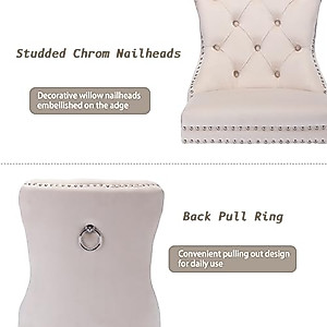 KCC Velvet Dining Chairs Set of 6, Upholstered High-end Tufted Dining Room Chair with Nailhead Back Ring Pull Trim Solid Wood Legs, Nikki Collection Modern Style for Kitchen, Beige