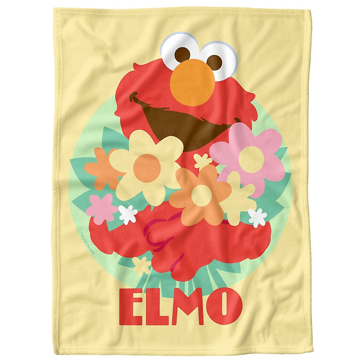 LOGOVISION Sesame Street Lightweight Baby Blanket, 30&quot;X40&quot;, Flowers for You Unisex for Infants Girls &amp; Boys