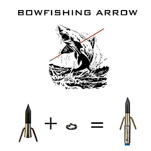 Tiger Archery 34inch Bowfishing Arrows Solid Fiberglass Shaft with Broadhead for Compound Bow and Recurve Bow Fishing Arrow Archery and Hunting (Pack of 6) (Blue)