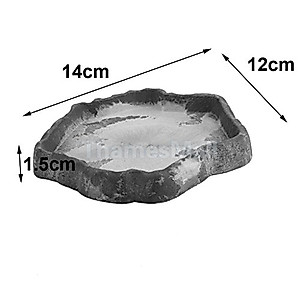 Karen Low Reptile Chameleon Iguana Lizard Reptile Tortoise Water Dish Food Bowl Amphibians Feeding Dish