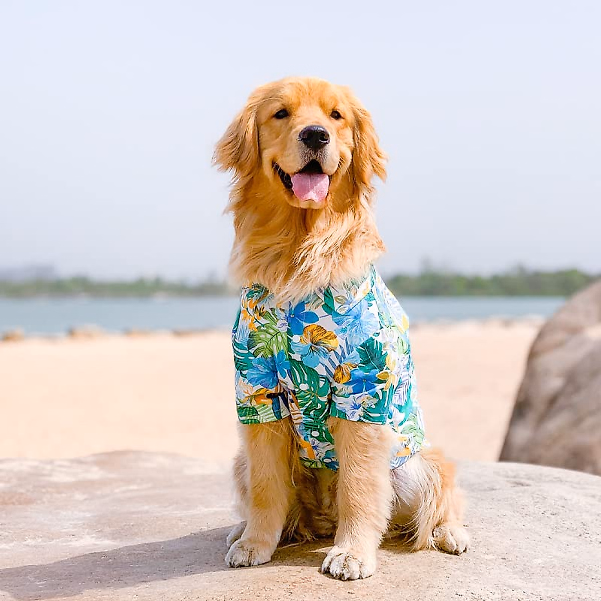 Harikaji Dog Hawaiian Shirt, Summer Pet Clothes Large Dog Cool Costume Beach T-Shirt for Medium Large Dog(Blue,5XL)