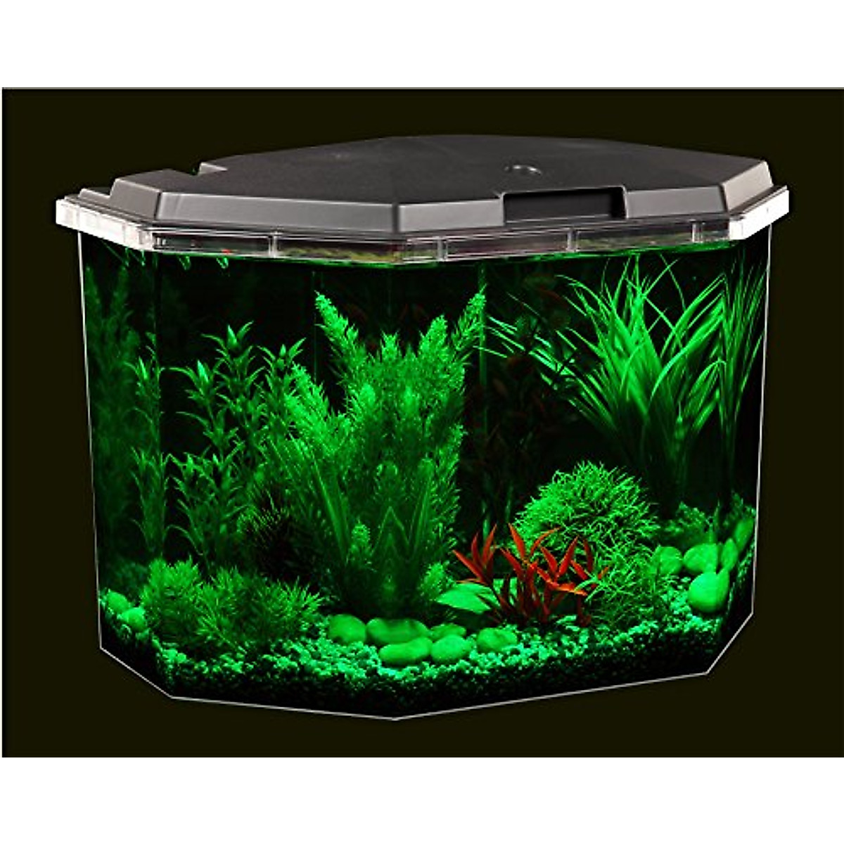 Koller Products 6.5-Gallon Aquarium Kit with Power Filter and LED Lighting, (AP650)