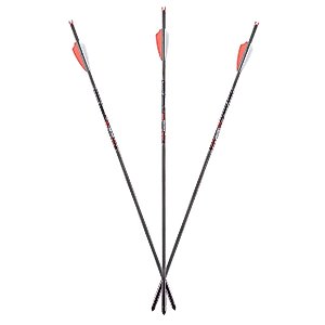 Axe Crossbows 19" Bolts for AX440 (6-Pack) - .166” ID Micro Diameter Shaft, 19-Inch Length (Without Point), 403 Grains (with 100 Grain Point), 6061-T6 Aluminum Nock, (3) Fusion XII SL Vanes