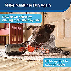 PetSafe Medium/Large Sportsmen Tug A Jug Pet Chew Toy