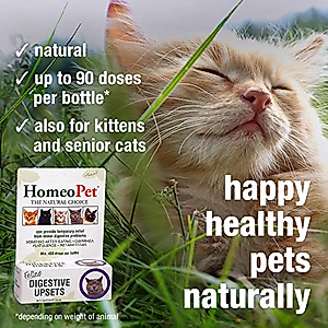 HomeoPet Feline Digestive Upsets, Natural Digestive Supplement for Cats, 15 Milliliters