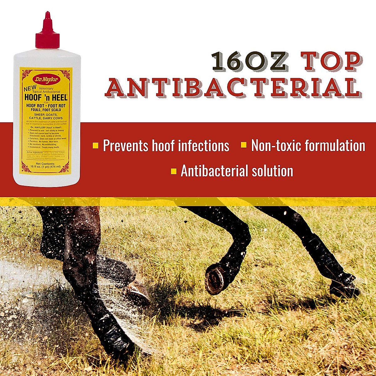 Dr. Naylor Hoof 'N Heal, Hoof Rot Foot Rot Wound Care, 16oz, Sheep Goat Cow Horse, 1-pack